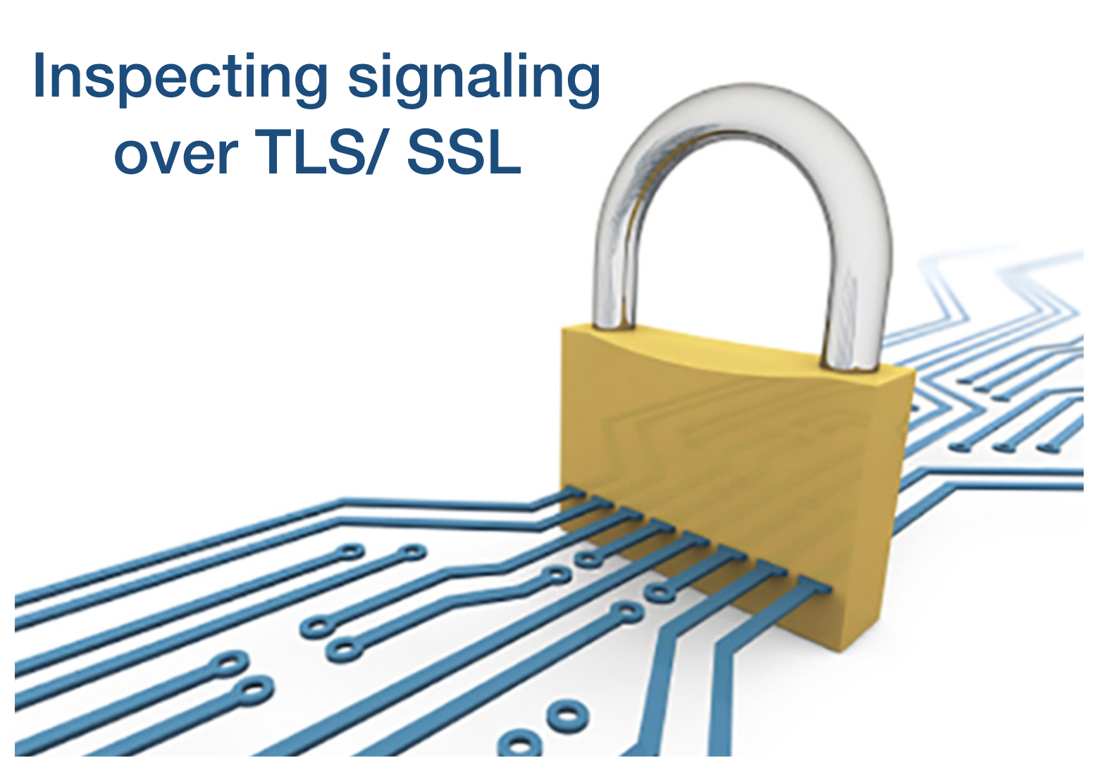 Inspecting signaling over TLS/ SSL protocol - Wildix Blog